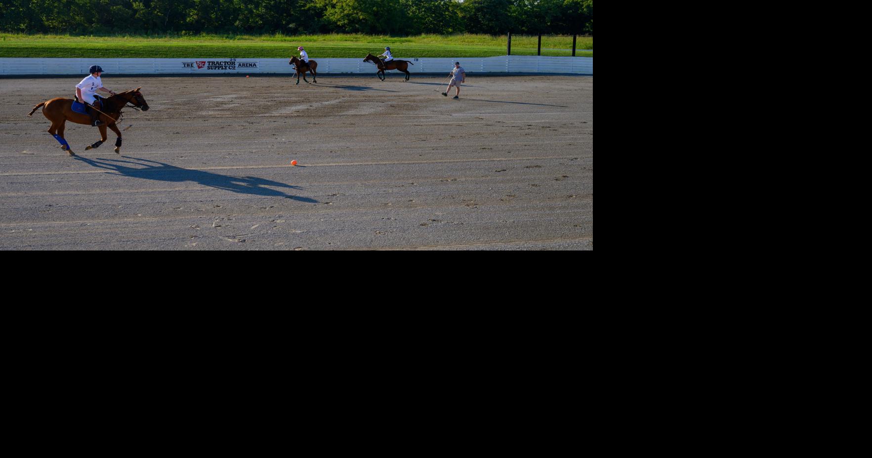 Polo match in Franklin to benefit Angel Heart Farm | WLife ...