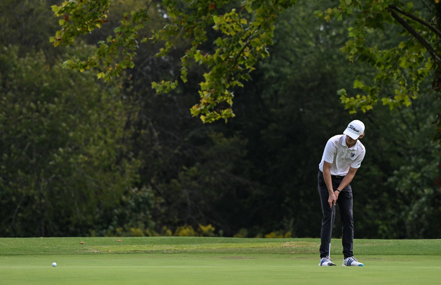 Golf: Brentwood boys keep low cards for region title; Page girls ready ...