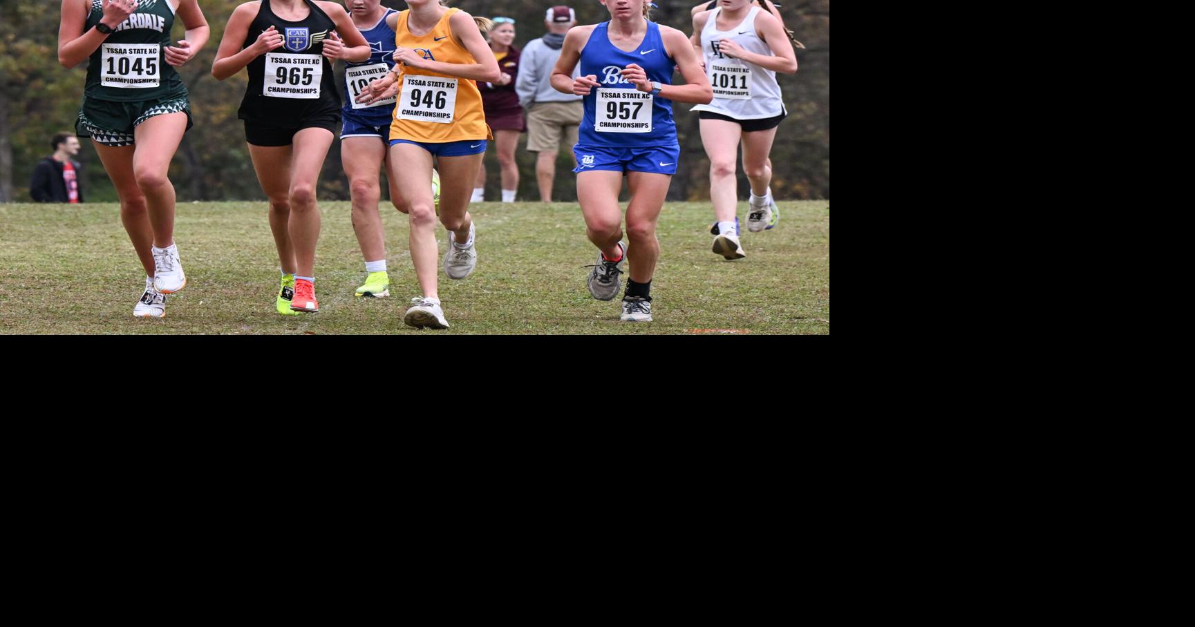 Cross Country: BGA girls win first regional; Fairview teams qualify for ...