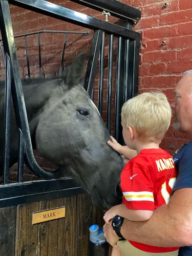 Celebrity hero horse stops at Thompson's Station's Jaeckle Centre ...