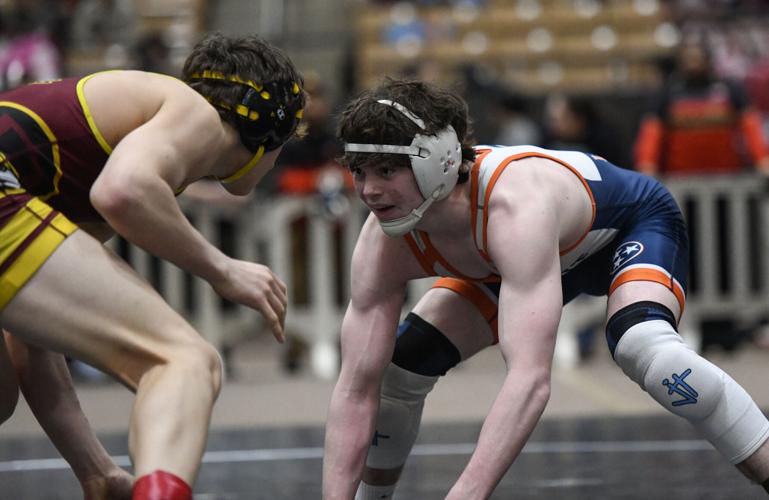 State Wrestling: Meet the record-breaking 11 WillCo Finalists | Sports ...