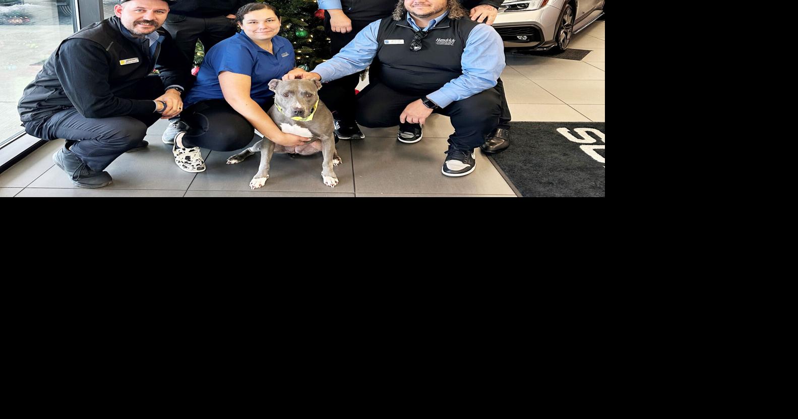Darrell Waltrip Subaru shares the love of animals | Features ...