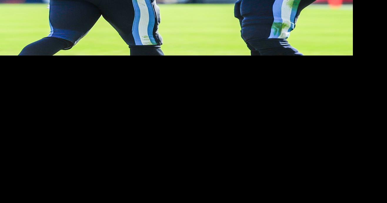 Titans see blueprint for season in how they beat Panthers | Sports ...