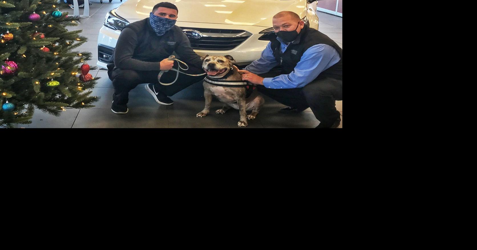 Darrell Waltrip Subaru to donate portion of sales to animal center ...