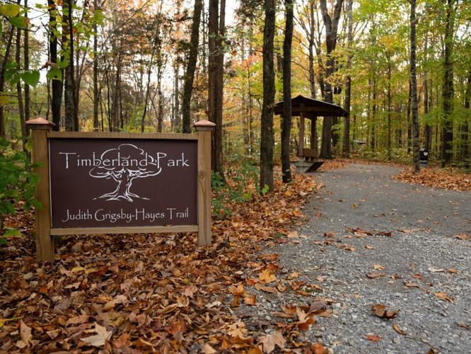 Timberland Park celebrates 10 years on the Trace | Local News ...