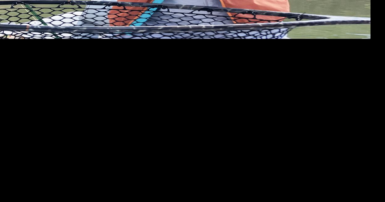 Obituary: Diane Wayman Hatcher | Obituaries | williamsonherald.com