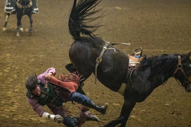 Franklin Rodeo brings weekend of fun as local competitors make a splash ...