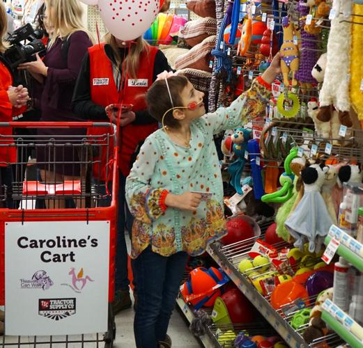 Young girl diagnosed with cancer helps animals in need with surprise ...