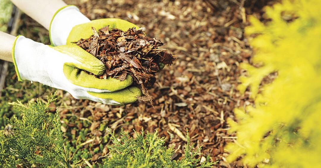 Got Mulch? | Agriculture | williamsonherald.com
