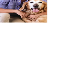 Obituary: James Evan Snider | Obituaries | williamsonherald.com