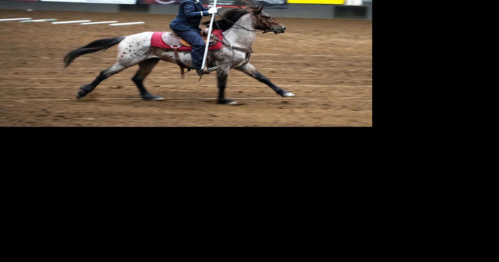 The American Mustang Horse galloped through Franklin with local ties to ...