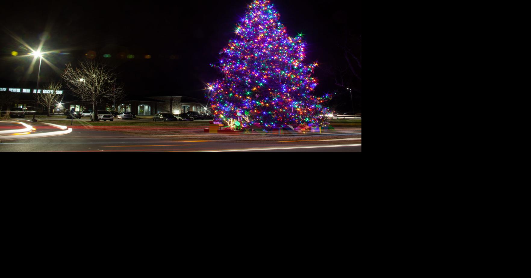 Williamson Pick: Neighborhood Luminaries | Arts & Culture ...