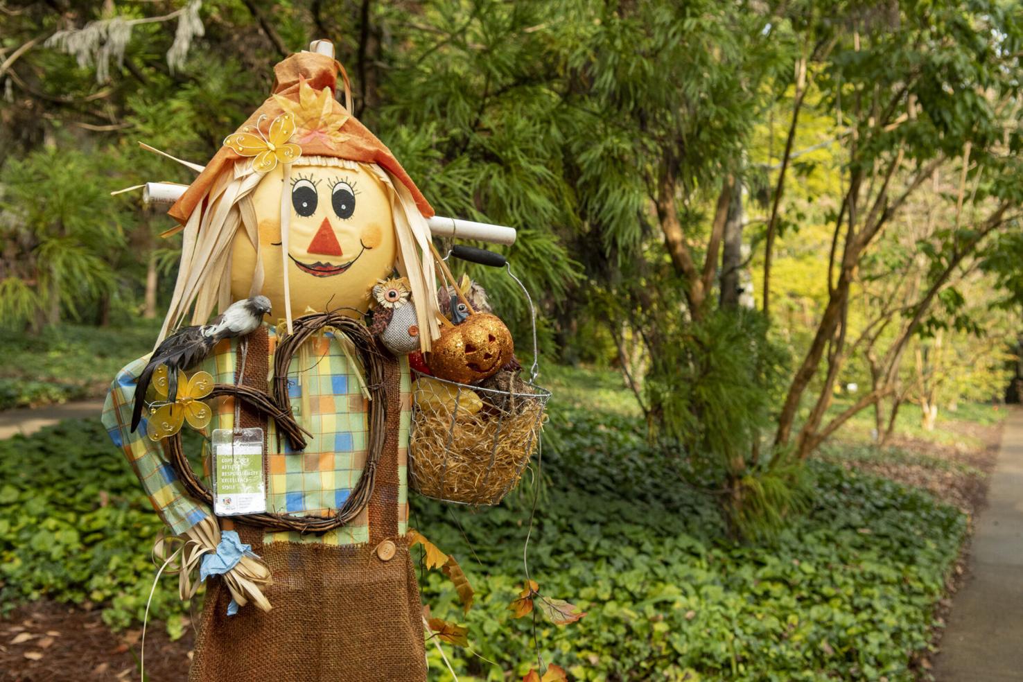 Cheekwood announces packed fall 'Harvest' slate | Community ...