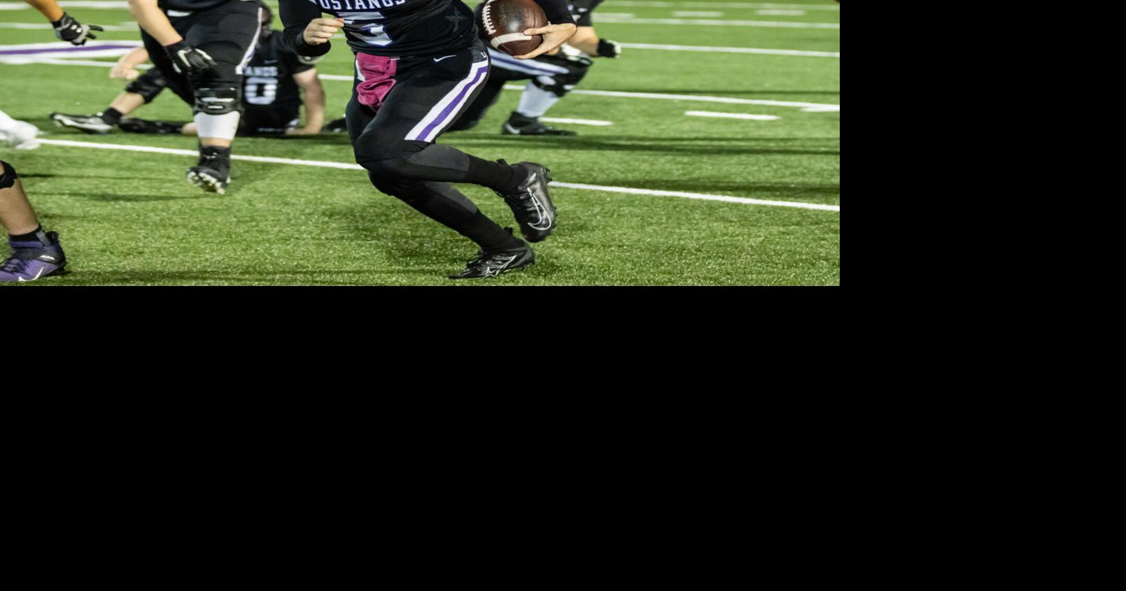 Lipscomb Academy QB Luther Richesson commits to Cincinnati | Willco ...