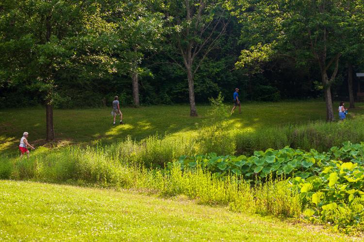 Brentwood Tree Board maintains Deerwood Arboretum | Brentwood ...