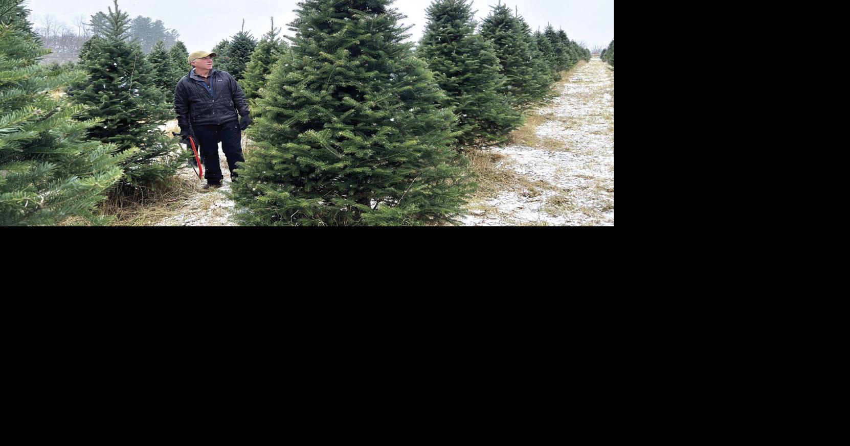 Gov. Scott highlights tree trade at Whitcomb Farm | Business Hub ...