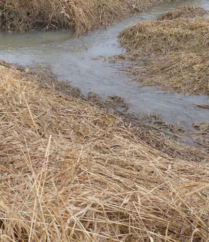 Should farmers be exempt from town stormwater fees? | Living Green ...