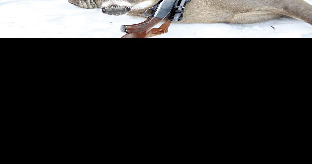 Report: VT hunters took nearly 17,000 deer in ’23 | Region/State ...