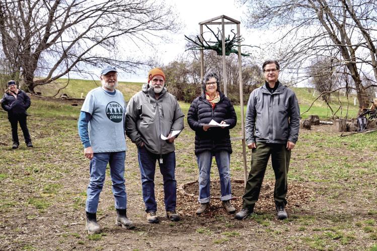 Marking changed landscape at Allen Brook’s ‘Tree Island’ | Schools ...