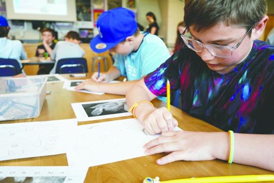 Williston students build connection through art | Schools ...