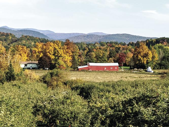 Five foliage favorites in Williston | Williston | willistonobserver.com