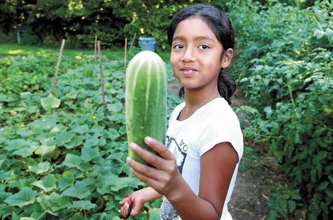 Kids grow goodness as part of garden project | Lifestyles ...