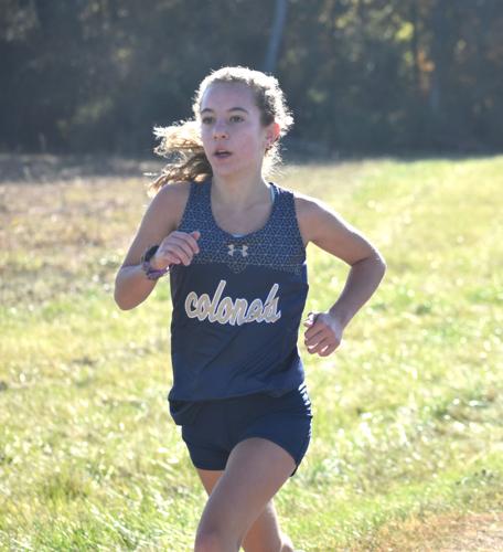 Girls' cross country notebook: Wood's Konyar shines in postseason debut ...