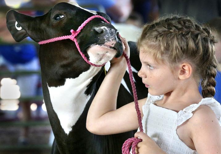A week full of fun planned for the Clarke County Fair | Winchester Star ...