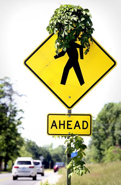 Creeping along | Eedition | winchesterstar.com