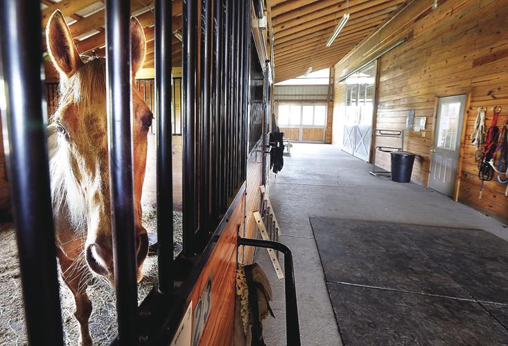 Farm tour to show off agriculture in Clarke County | News ...