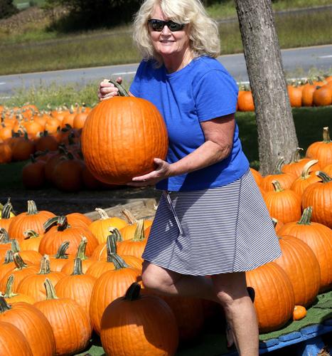 Pumpkin pick up | Winchester Star | winchesterstar.com