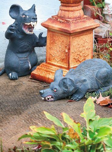 Home’s front yard filled with ghoulish delights | News | winchesterstar.com