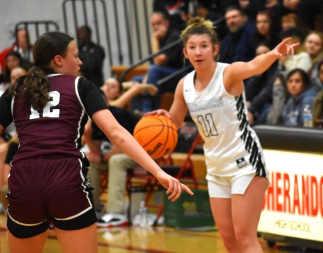 Handley girls hold off Sherando to stay undefeated | Winchester Star ...