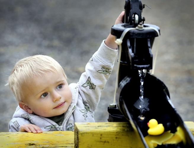 Wayside Farm Fun | Winchester Star | winchesterstar.com