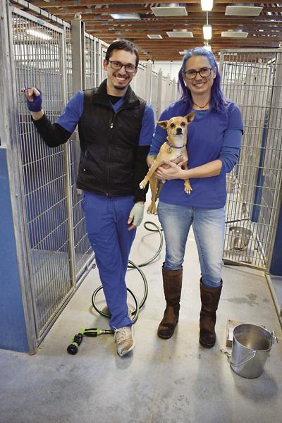 New manager, kennel assistant hired for Clarke animal shelter ...