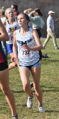 Girls' cross country notebook: Sherando's Ahrens gets first All-State ...