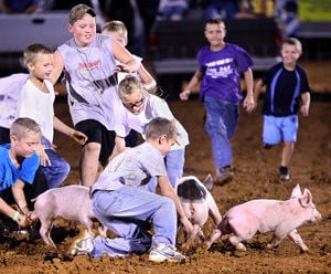 Storm adds twist to fair pig scramble festivities | News ...