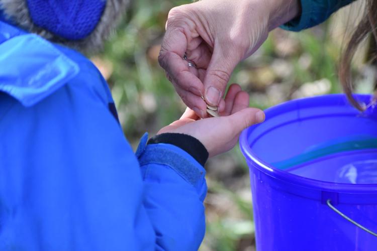 Powhatan science teacher's passion for the outdoors wins her an award ...