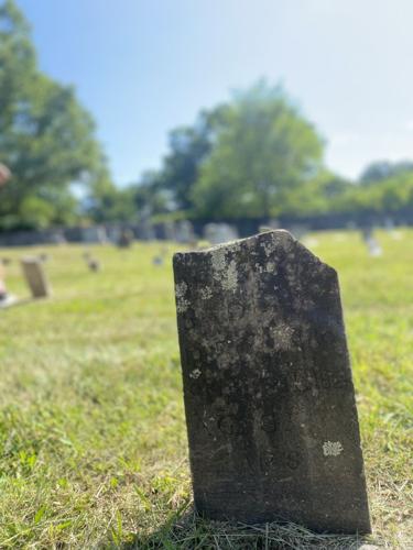 Babb family tree, scattered across nation, reunites in Winchester ...