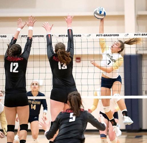 Millbrook grad Cleveland leaving an indelible mark for Pitt-Bradford ...