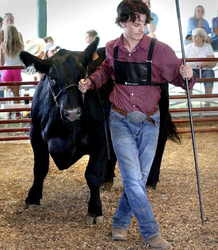 Here's the beef | Winchester Star | winchesterstar.com