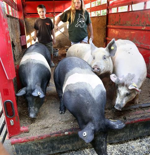 Leaping into the fair | Winchester Star | winchesterstar.com