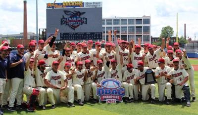 Shenandoah captures ODAC baseball title, automatic NCAA berth | Sports ...