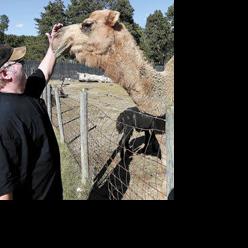 Wilson's animal park celebrates 40 years | News | winchesterstar.com