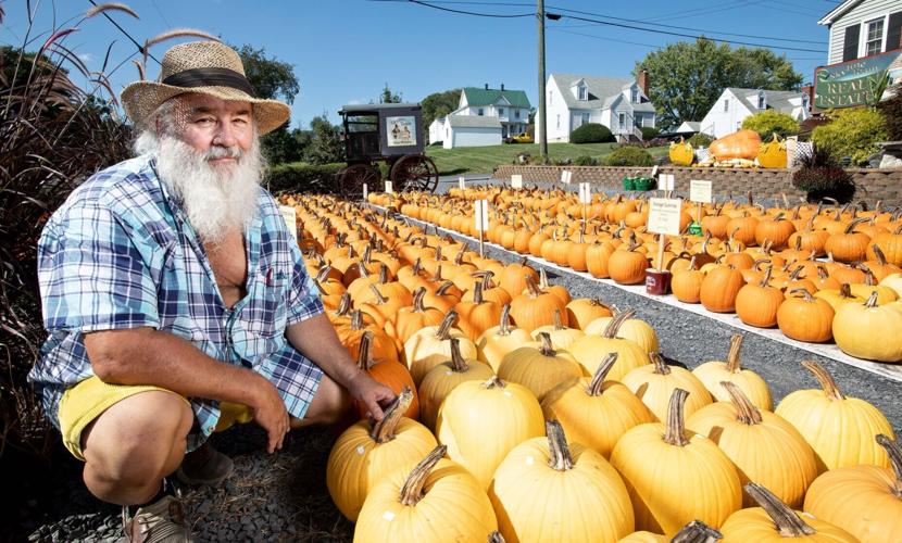 Pumpkin patch a dream come true for Woodstock man | Winchester Star ...