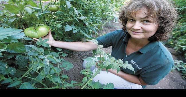 Kids grow goodness as part of garden project | Lifestyles ...