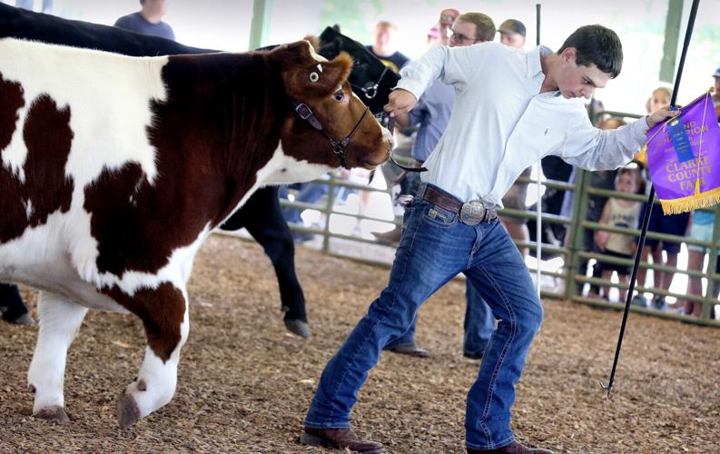 This year's Clarke County Fair to feature many new events | Winchester ...