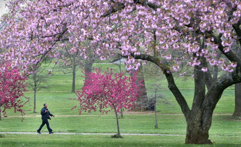 Spring palette | Eedition | winchesterstar.com