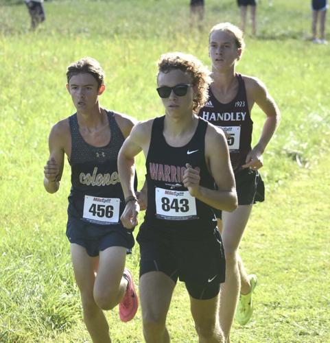 Cross country notebook: Clarke County progressing well | Winchester ...