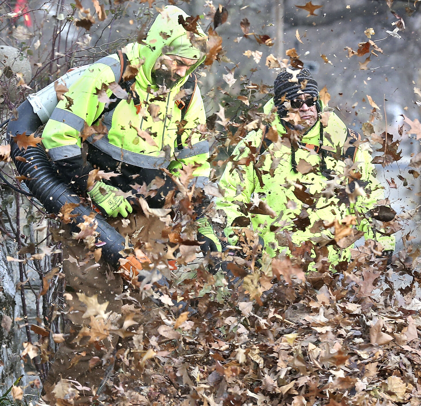 Leaf collectors | Eedition | winchesterstar.com